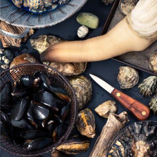 Canviz – Business Technology Services